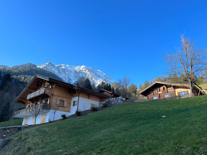 Le Bouquetin Chalet: Alpine Beauty & Tranquility - Charmey