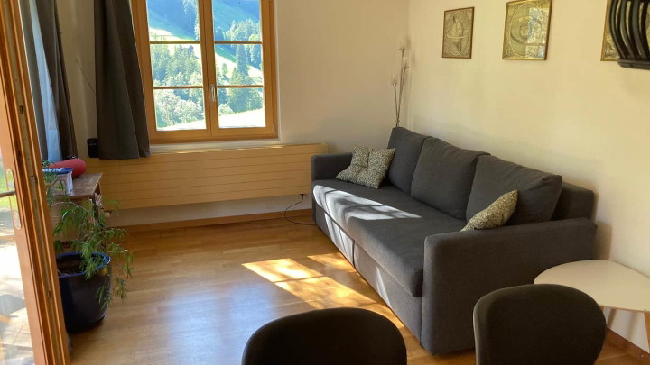 Gemütliches Chalet-apartment Im Saanenland - Saanen