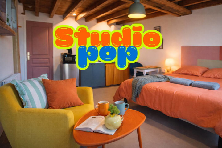 Studio Pop 25m2 Neuf Et Coloré Wifinetflix - Bellême