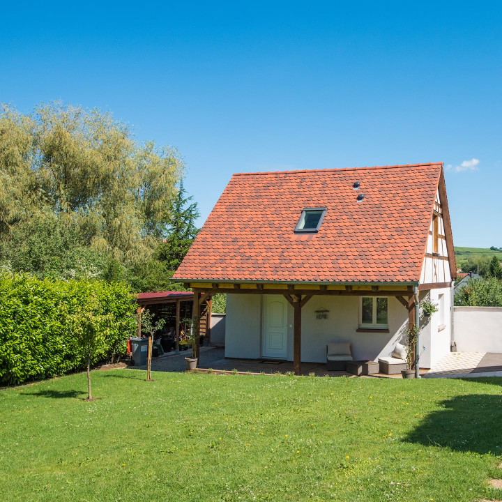 Gite Des Grenouilles - Alsace