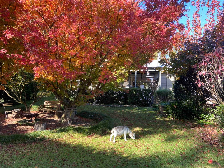 Farm Escape - Spacious Cottage In Kangaroo Valley - Kangaroo Valley