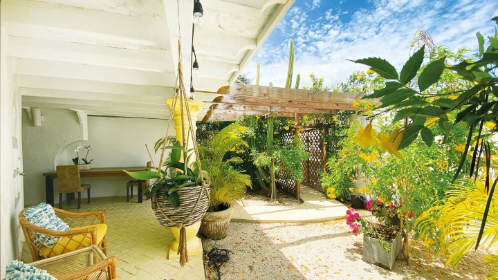 Private Tropical Garden | Beach Walk 3 By Bocobay - Aruba