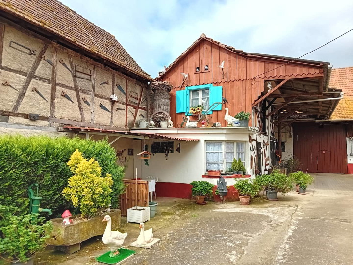 Maison Dans Corps De Ferme - Colmar