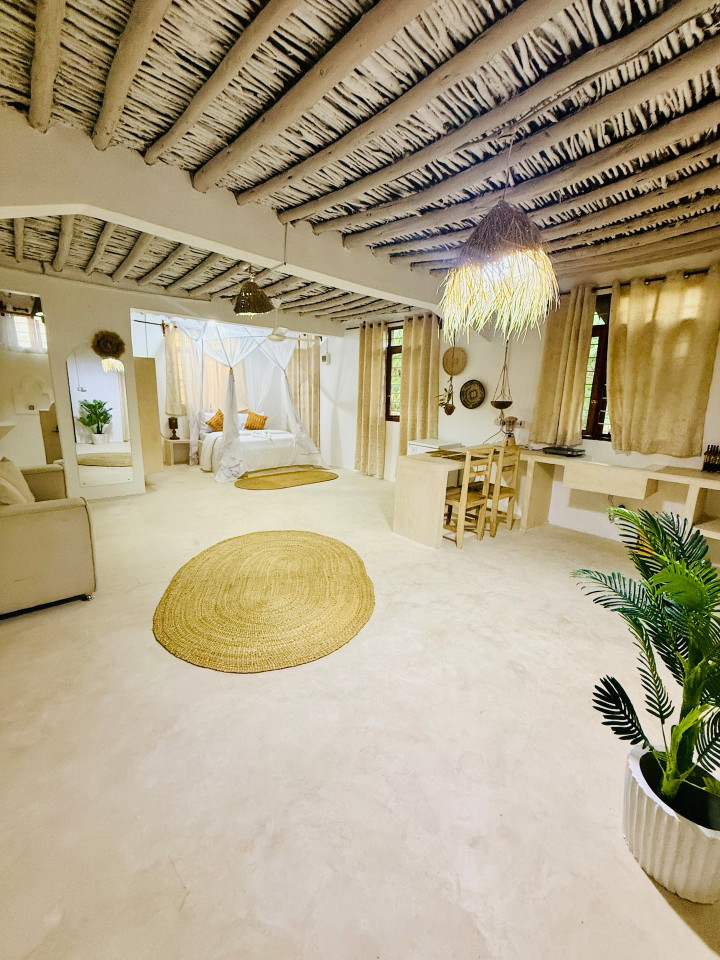 Peace And Love Villa - Appartement Lumineux Avec Clim - Tanzanie