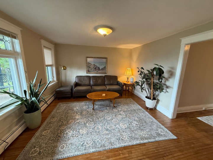Bright, Cute Lakeview Apartment In Prime Location! - 덜루스