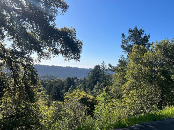 3 Bdrm Santa Cruz Mountain Private House - Boulder Creek, CA