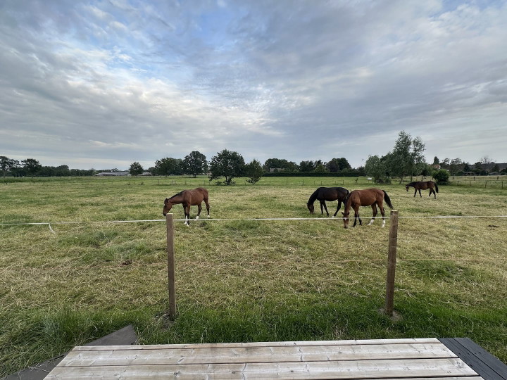 Skygazer | Tiny House Tussen Paarden Met Airco - Kalmthout