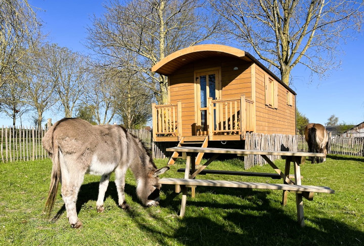 La Roulotte Du Moulin. Déconnexion Et Nature ! - Belgique