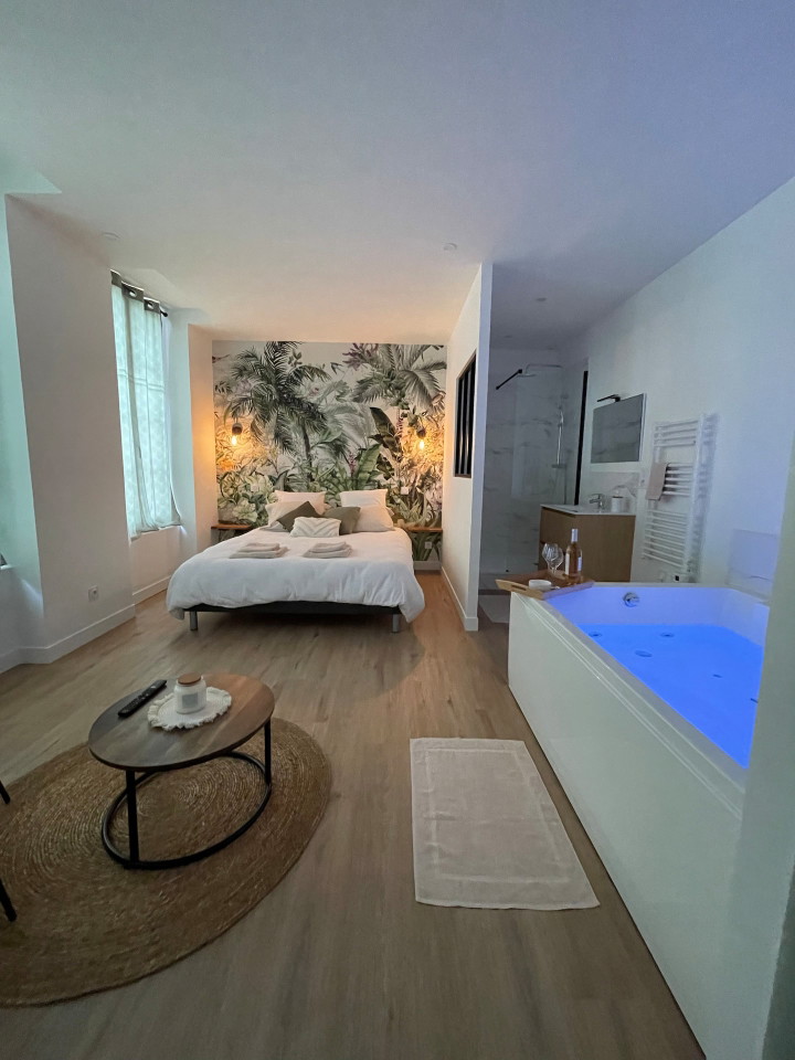 Le Duplex : Balnéo, Lit Queen Size - Beaugency