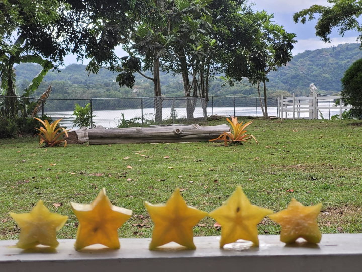 Casita Deseada: A Private Lakeview Farm ...Charm - Utuado