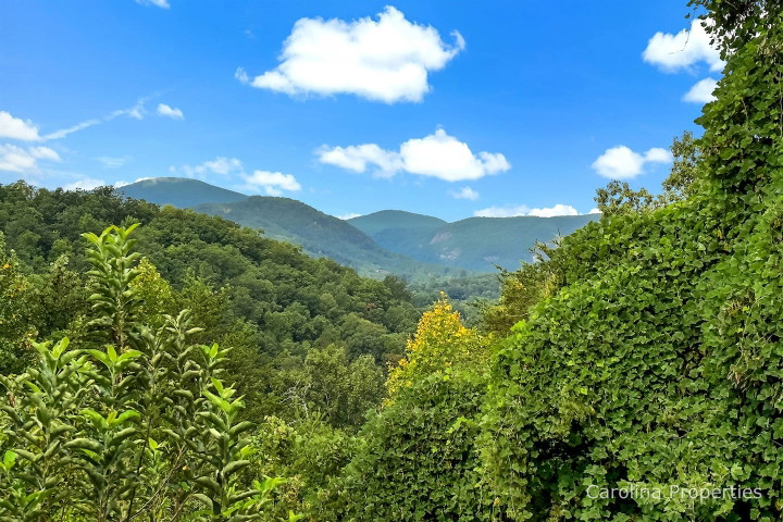 Views, Mirror Lake Access, Fire Pit, Fireplace! - Lake Lure, NC