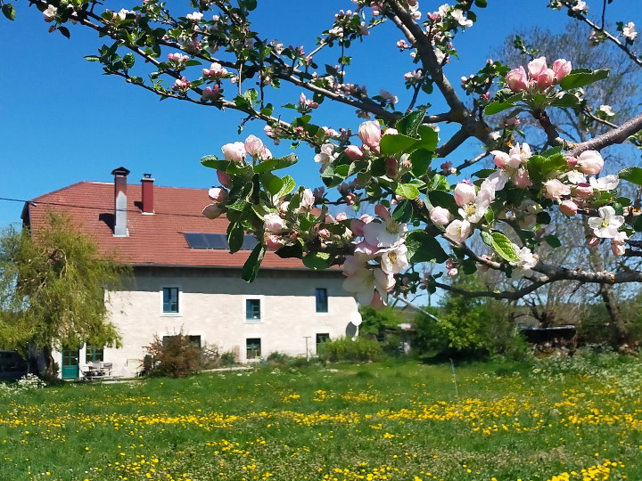 Gîte Du Cotay Dans Ferme Isolée - Pontarlier