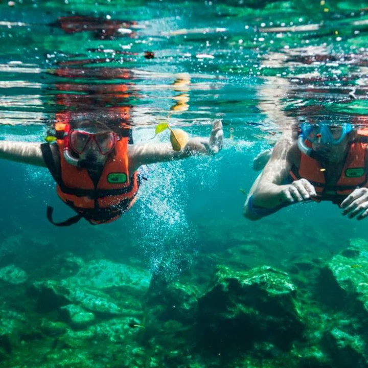 Sandos Caracol Vip All-inclusive Resort|kids Free - Riviera Maya