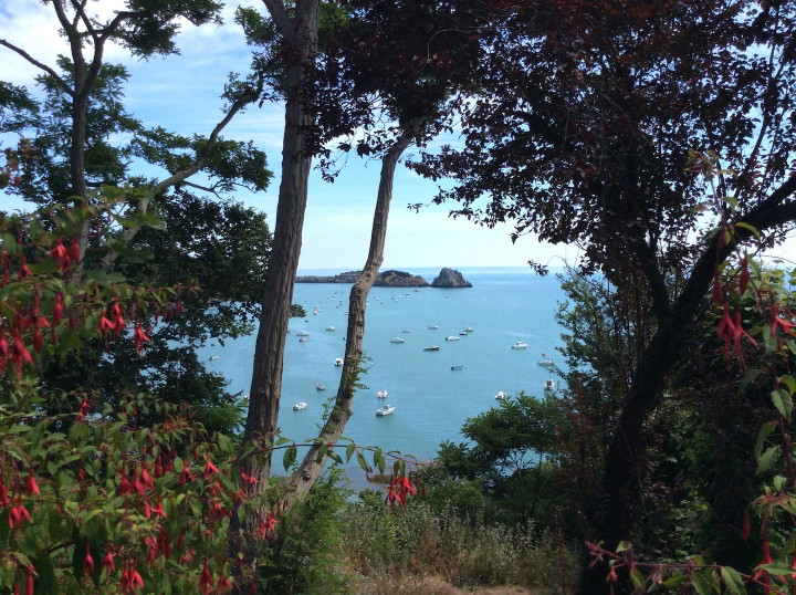 Maison Vue Mer Au Calme Au Centre De Cancale - Cancale