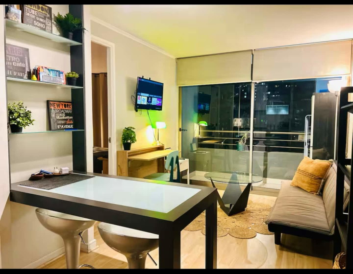 Warm Apartment In Downtown Santiago With Pool - Santiago, Chile