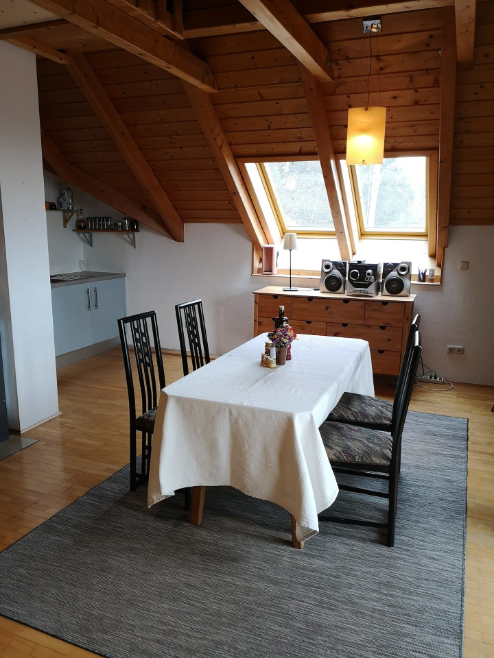 Light-flooded Apartment In A Detached House - Graz