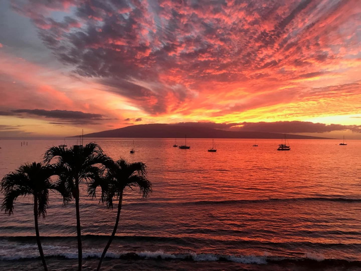 Perfect Location And Unbelievable Views At Lahaina - Maui