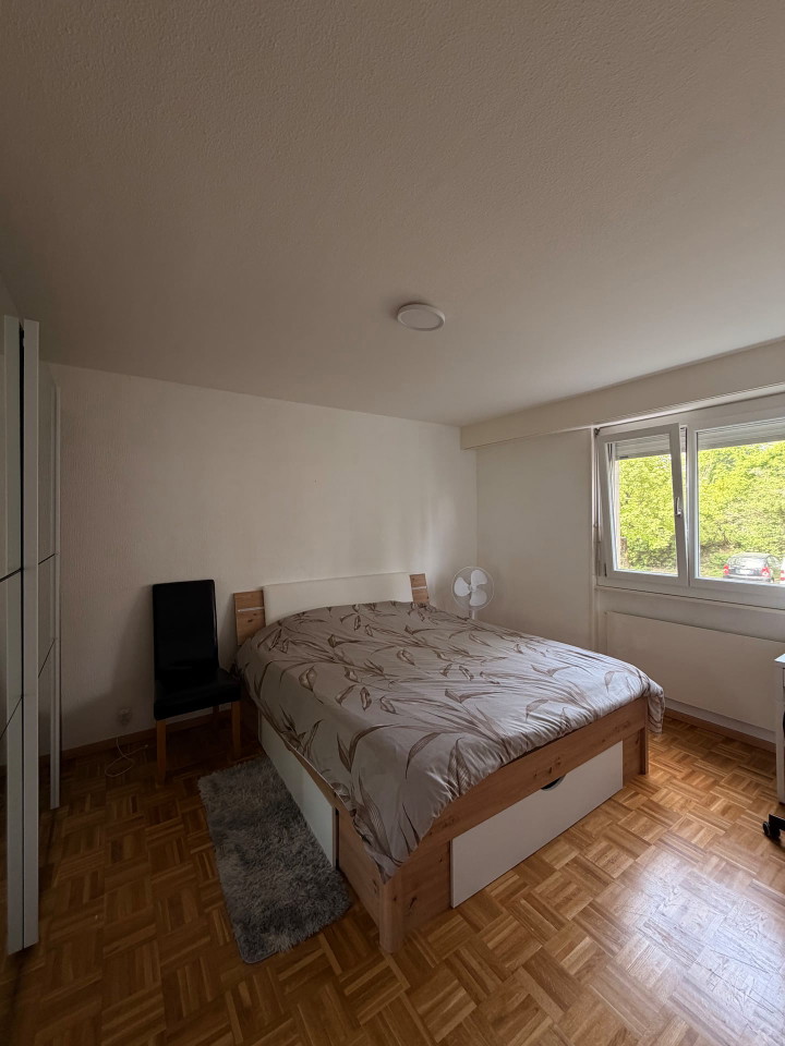 Chambre Lumineuse Et Confortable - Lausanne