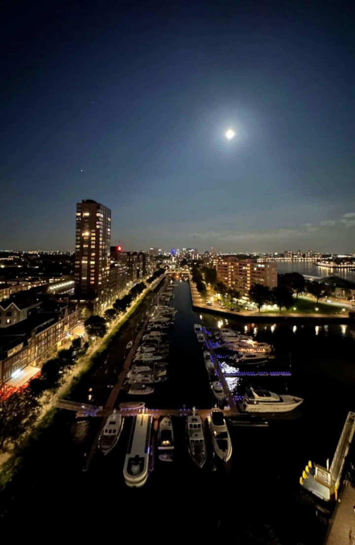 Riverside Oasis - Rotterdam