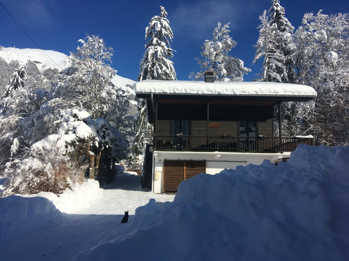 5 Bedroom Self Catered Chalet - Avoriaz
