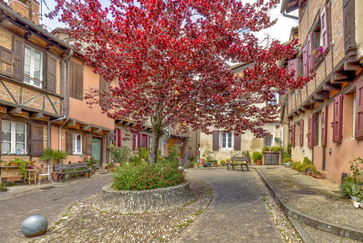 " Place Savène "  Studio Albi Unesco 3 éToiles - Albi
