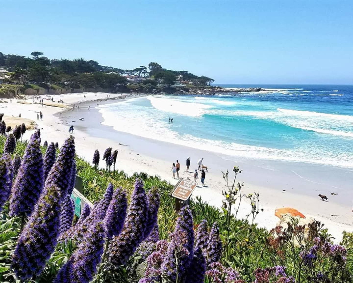 Lovely Carmel By The Sea Home Near All Attractions - Carmel-by-the-Sea, CA