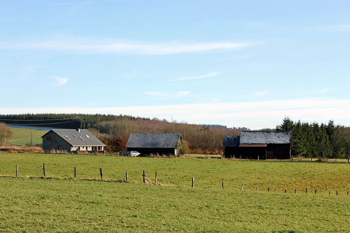 Ferme Des Chevaux - Bastogne