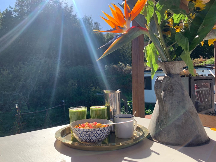 > Quiet House On An Organic Finca With A View Of The Countryside < - Garachico