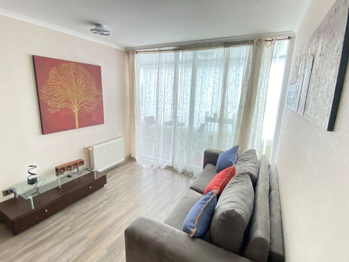Montemar Apartment - 비냐델마르