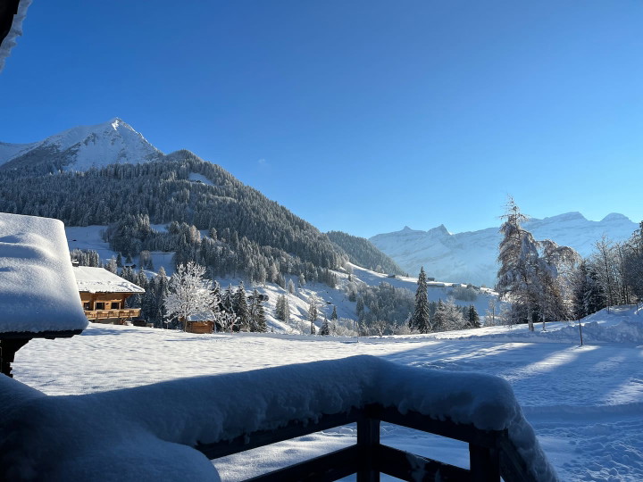 Large Cozy Cottage - Les Diablerets