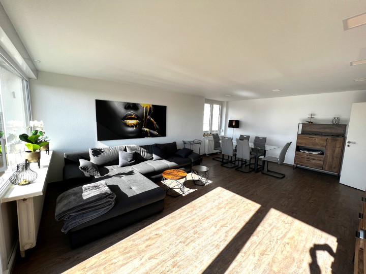 Exclusive Apartment With Sauna - Ulm