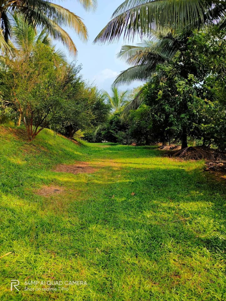 H2o Heritage 
Reservoir View - Thodupuzha