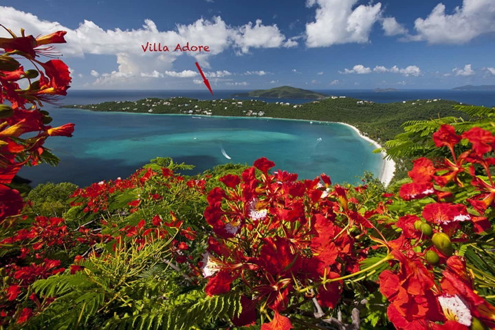 Cottage Adore - Saint Thomas
