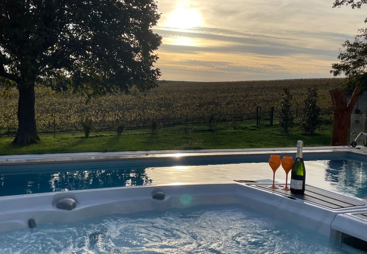 Jacuzzi Et Superbe Vue Sur Les Vignes De Champagne - Reims