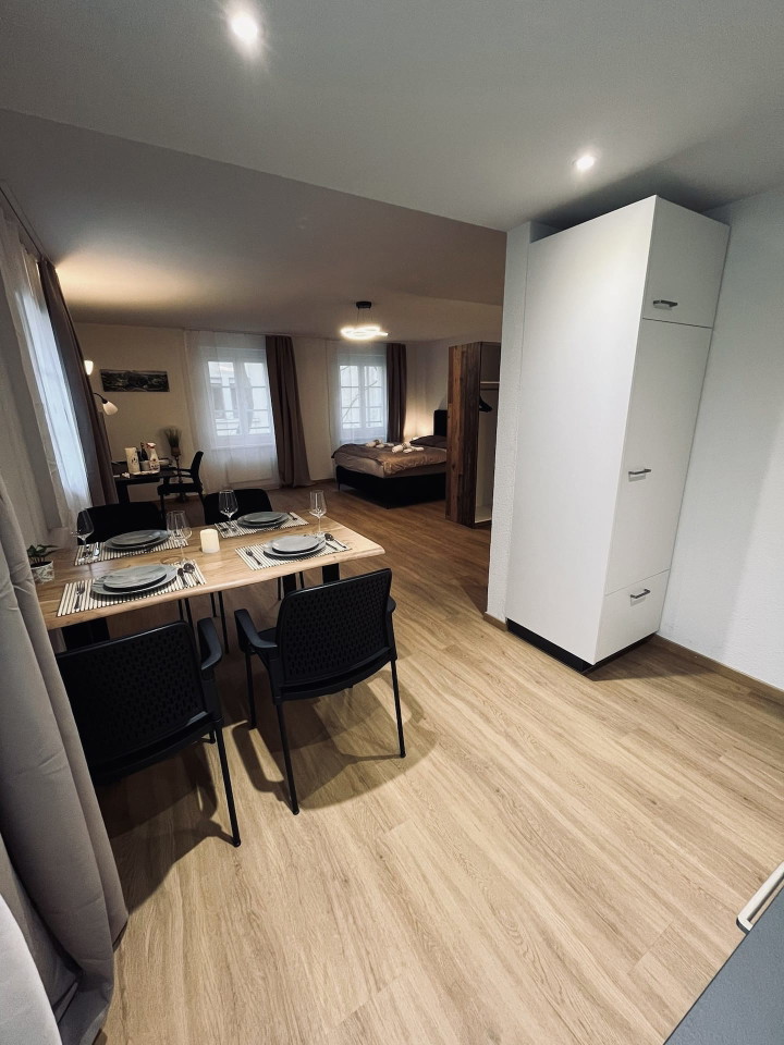 Cozy Boutique Apartment - Lucerne