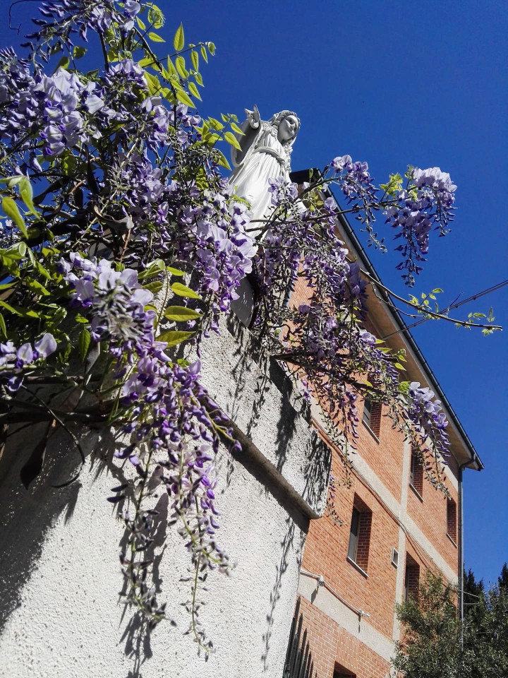 «Oasi Di Pace Sul Gargano:
Alloggio Di Cielo» - San Giovanni Rotondo