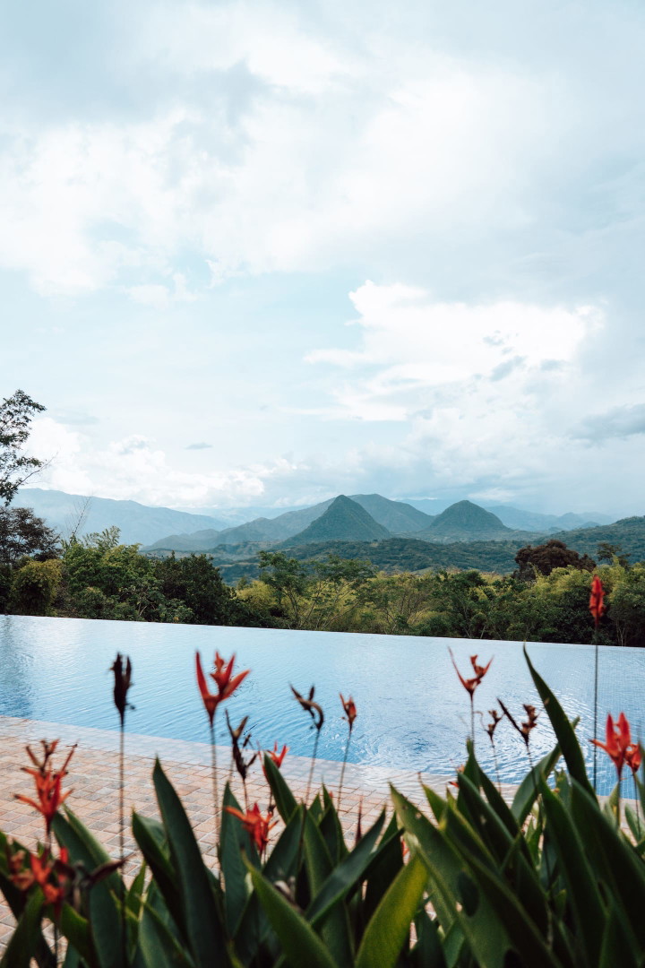 Finca Cuatrogatos
(Támesis, Antioquia) - La Pintada
