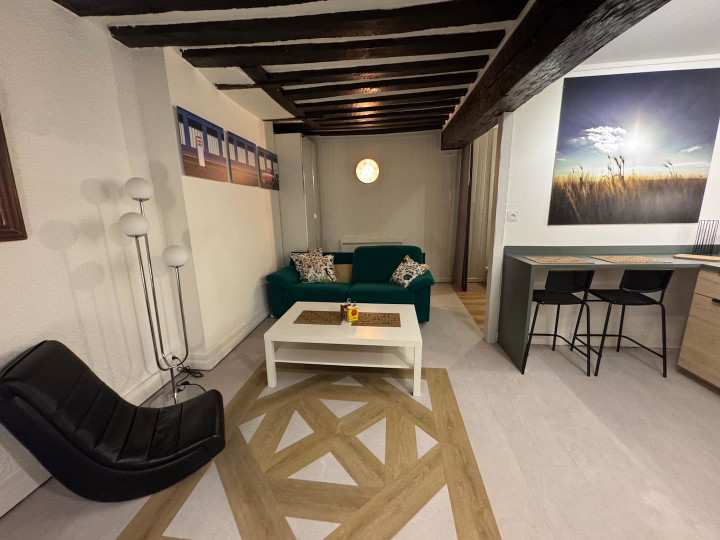 Le Rempart  Loire River Bank Apartment - Orléans