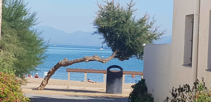 Casa Alarcón à 50 Mètres De La Plage. L'escala - La Escala