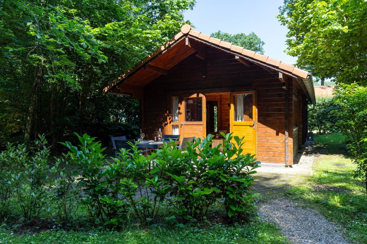 Cosy Wooden Cottage In The Countryside In The Veluwe - Epe