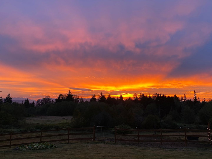 Firetrail Cottage-a Cozy Little Escape! - Marysville, WA