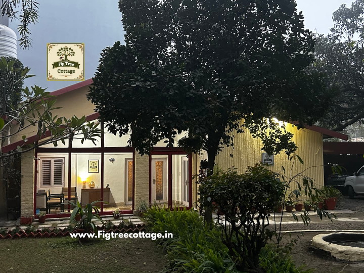Fig Tree Cottage - Dehradun