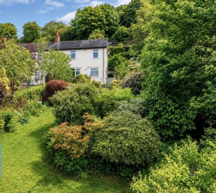 Meadow View Cottage - Rudyard Lake