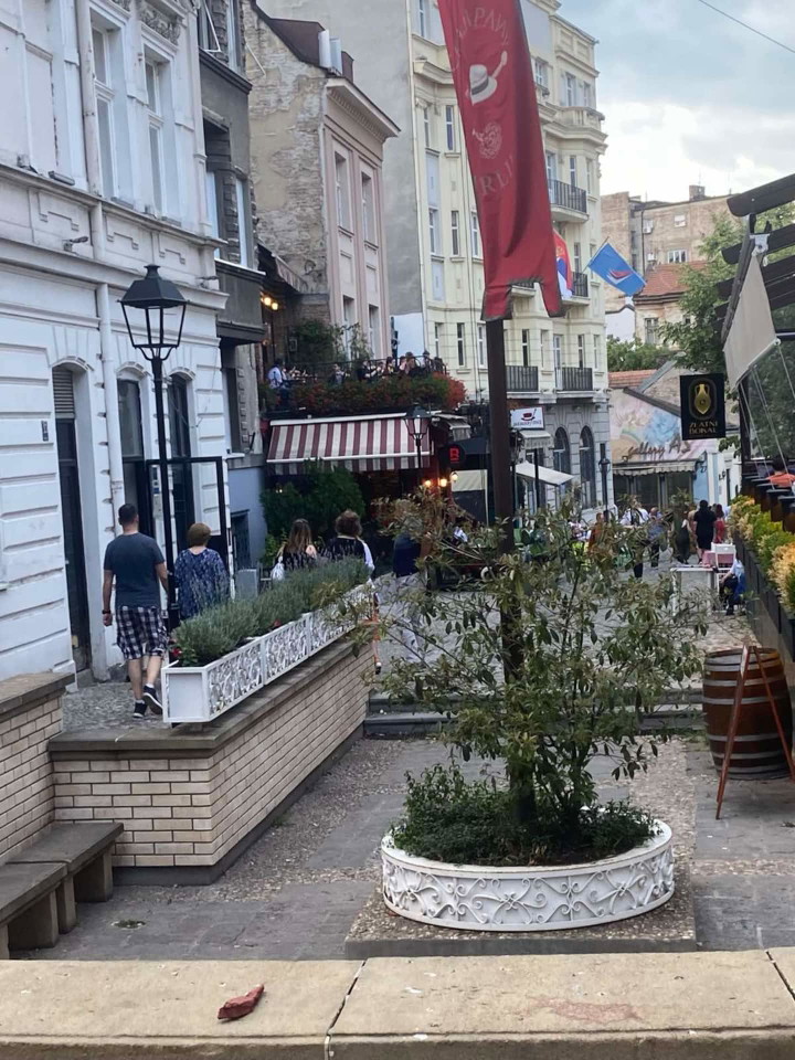 Skadarlija -Magnolia - Belgrado