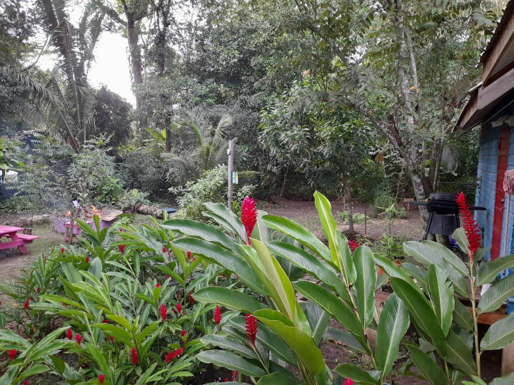 Belmopan Tiny House Relaxing Jungle House - Belmopan