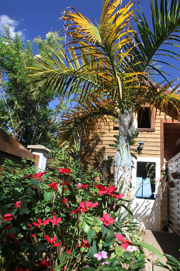Chalet De Charme, Vue Sur Ocean - La Réunion