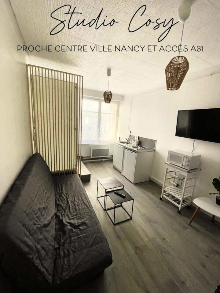 Studio Cosy Proche Centre Ville Nancy Et Accès A31 - Laxou