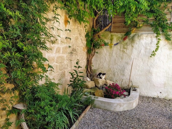 Charmant Gîte De Village Indépendant Avec Jardin - Montagnac