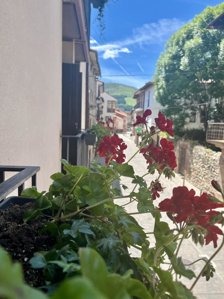 Estudios-apartamentos Ubaga - Ezcaray