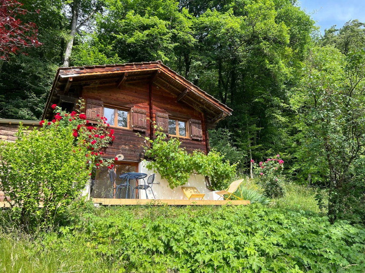 Chalet Authentique Vue Lac Nature & Sérénité - Talloires-Montmin